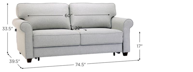 Casey Queen Loveseat Sleeper | Raymour & Flanigan