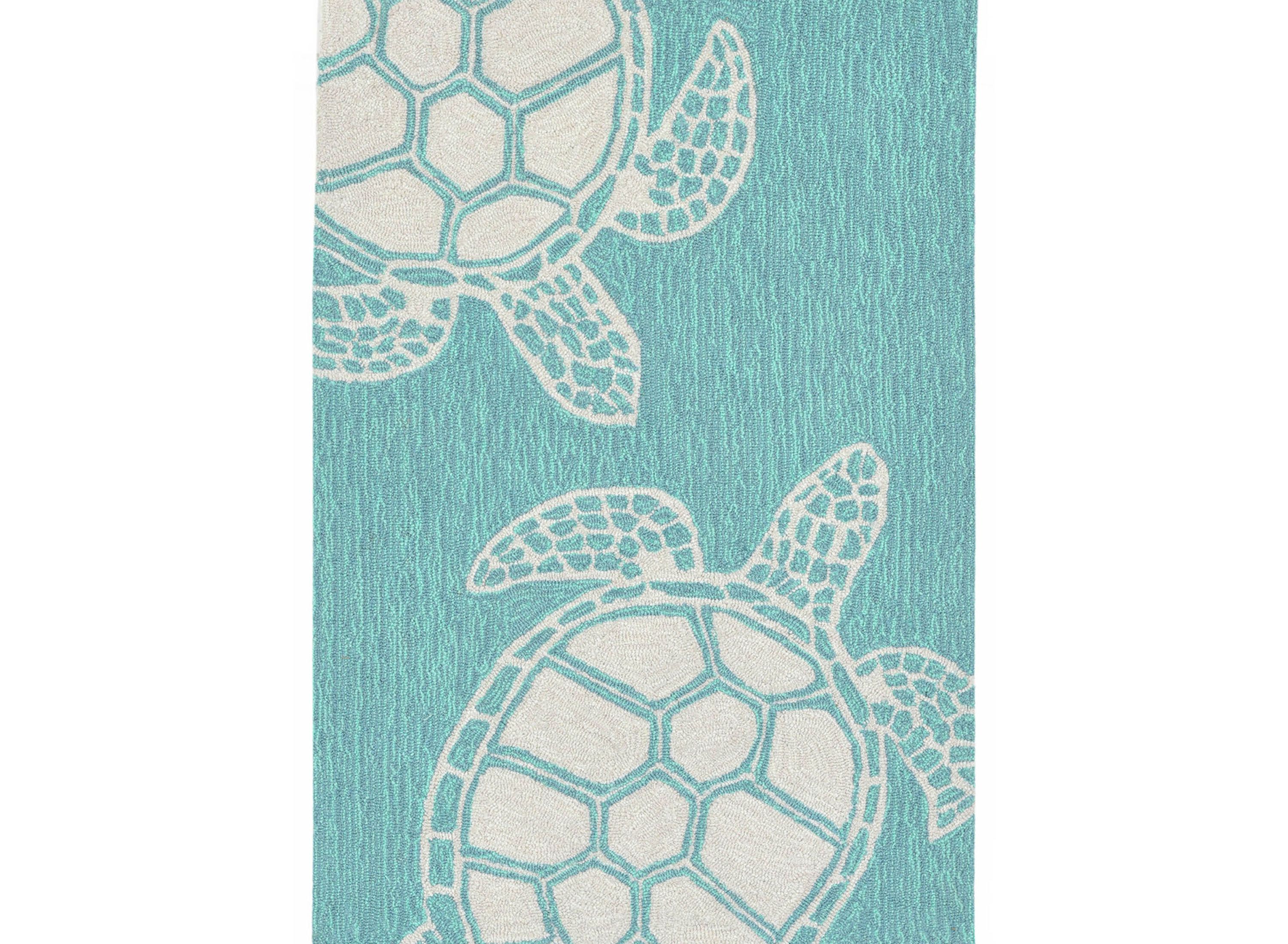 Turtle Indoor/Outdoor Area Rug | Raymour & Flanigan